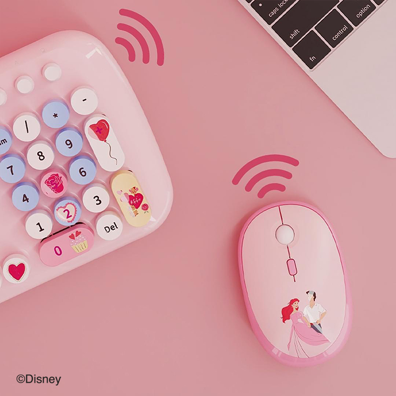 รายละเอียดสินค้า